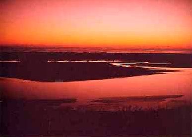 The scenery around Okari Lake Hideaway, New Zealand.